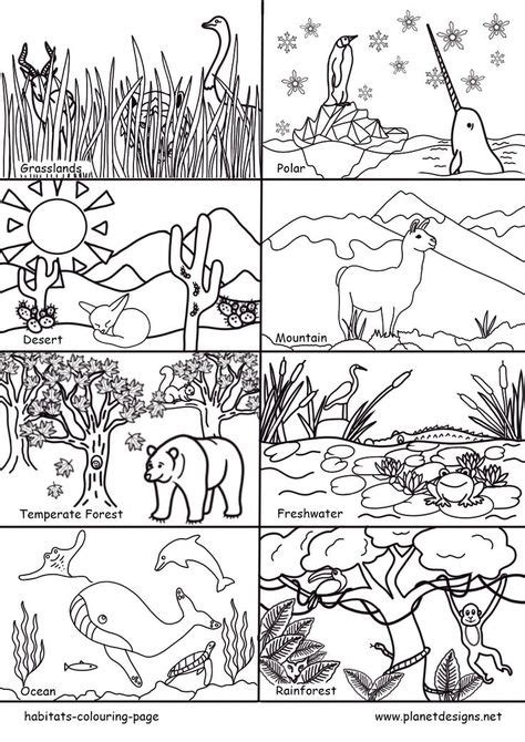 Ecosistema Terrestre Para Colorear