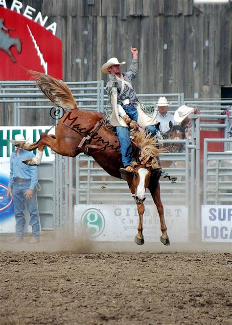 Helix Git R Dun By Saudimack On Deviantart