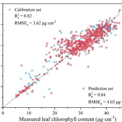 The Prediction Results Of Leaf Chlorophyll Content The Subscripts C Download Scientific