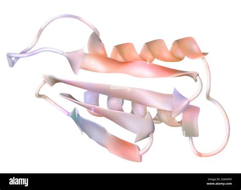 Drawing Of A Prion Infectious Protein Encephalopathy Agent Stock