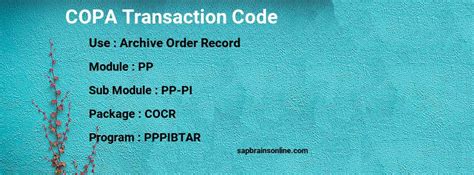 COPA SAP Tcode For Archive Order Record COPA SAP Tcode For Archive Order Record