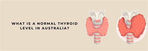 Normal Thyroid Levels In Australia Explained