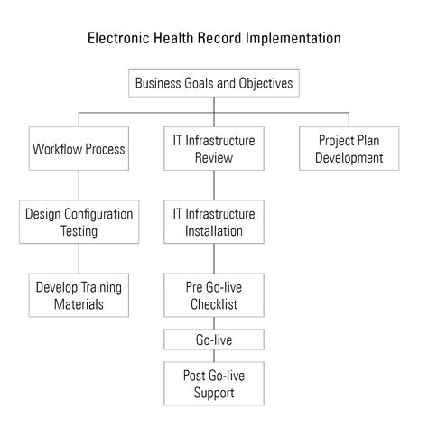 Emr Implementation Strategy