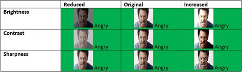 Github Tuhinaprasad28comprehending People Responses Through Facial Expression Python