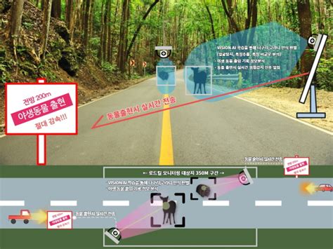 포스코dx 비전ai 기반 로드킬 방지시스템 개발 로봇신문사