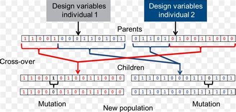 Genetic Algorithm Crossover Mutation Chromosome Png 1364x649px