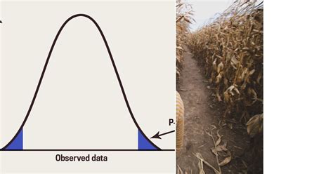 List P Value And Significance Level Issues Curated By Hiroshi Thurber Medium