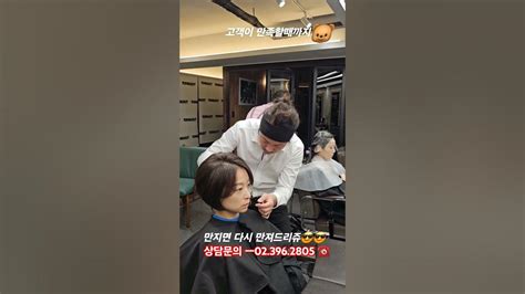 고객이 만족할때까지 최선을 다해 모셔드립니다 고객만족미용실 보브컷전문 단발컷 숏보브 컷트는 전문가에 맡겨야 후회가 없다 아베다염색 Hairstyle 토니앤가이