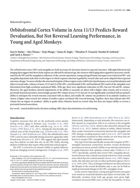 Pdf Orbitofrontal Cortex Volume In Area 11 13 Predicts Reward Devaluation But Not Reversal
