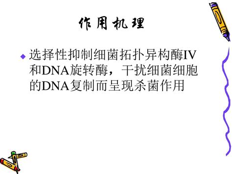 喹诺酮类药物ppt课件word文档在线阅读与下载免费文档