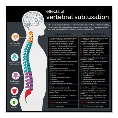 Effects Of Vertebral Subluxation Chiropractic Artofit