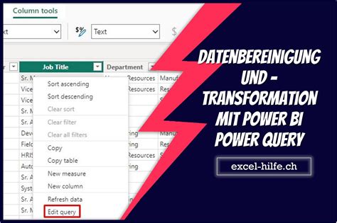 datenbereinigung und transformation mit power bi power query excel