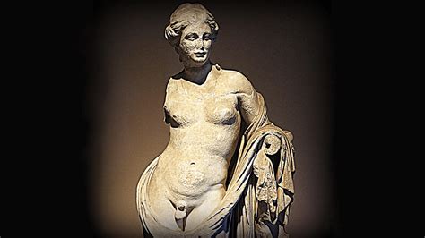 X Y Sex And Gender When Genetics Pulls A Fast One Genetic Literacy Project