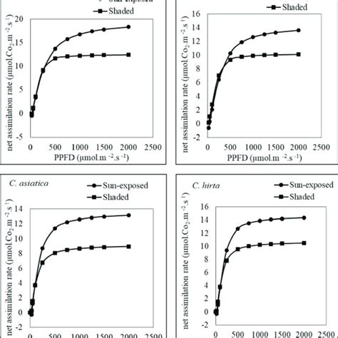 The Photosynthetic Light Response Curve Of The Sun Exposed And Shaded Download Scientific