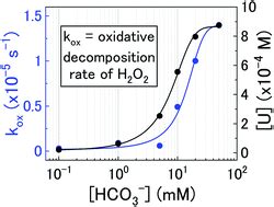 The Kinetics And Mechanism Of H2O2 Decomposition At The U3O8 Surface In Bicarbonate Solution