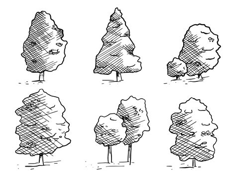 Premium Vector Set Of Vector Isolated Black And White Trees In Sketch
