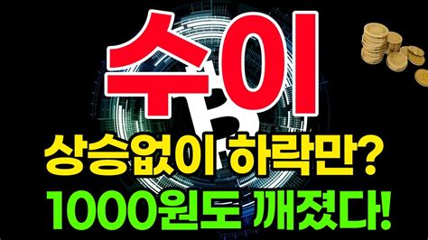 수이 코인 상승없이 하락만 1000원도 깨졌다 수이코인 수이코인시세 수이코인전망 수이코인호재 수이코인가격 수이코인목표가 수이호재 수이전망 수이