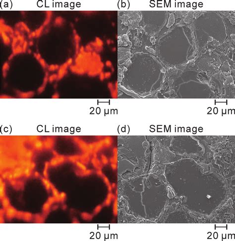 A And C Cl Images And B And D The Corresponding Sem Image Of Download Scientific
