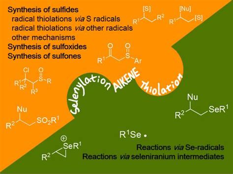 三组分反应烯烃硒化和硫醇化的最新进展 Advanced Synthesis And Catalysis X Mol