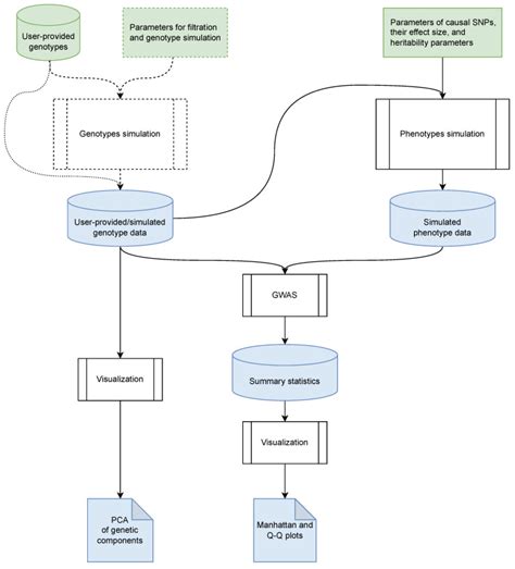 Biogwas A Simple And Flexible Tool For Simulating Gwas Datasets Pmc