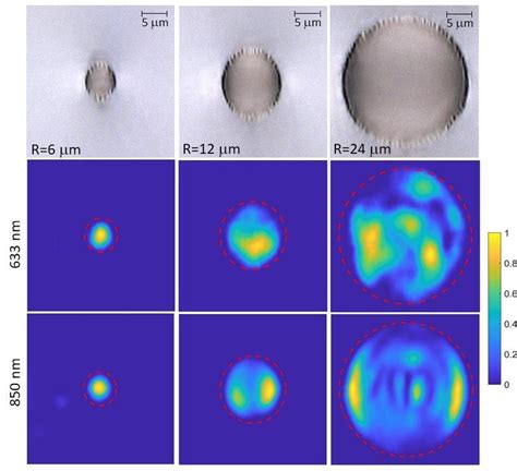 Microscopic Picture Taken In Transmission Mode Of The Straight