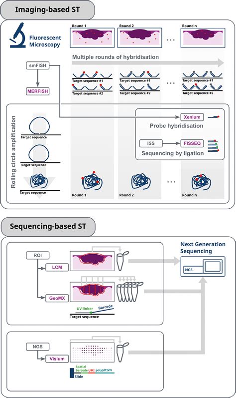 Entering The Era Of Spatial Transcriptomics Opportunities And Challenges For Pathology