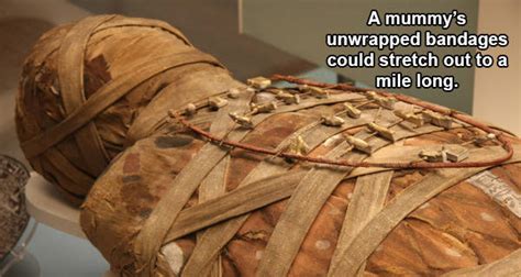 44 Ancient Egypt Facts That Separate Myth From Truth