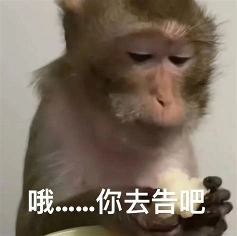 吗喽表情包