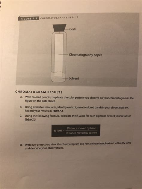 WORKSHEET EXERCISE 7 DATE NAME SECTION QUESTIONS 1 Chegg Com