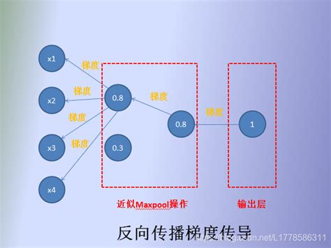 理解maxpool最大池化的作用与反向传播 csdn博客