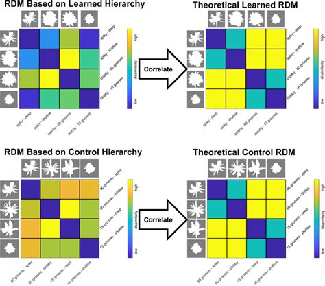 Overview Of The Representational Dissimilarity Analysis For Each