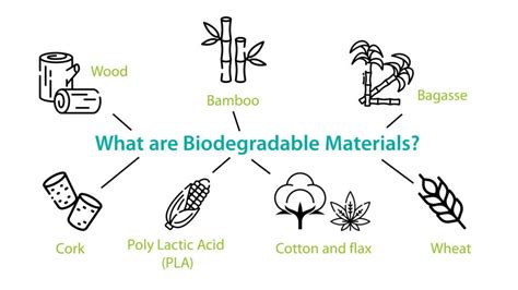 Biodegradable Material Hiểu Rõ Về Vật Liệu Phân Hủy Sinh Học