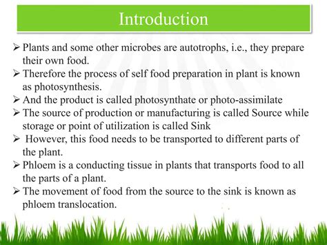 Source And Sink Relationship Pptxpptx
