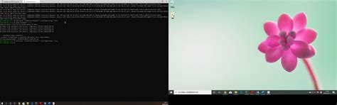 Terminal Will Not Show Completely In Fullscreen Mode When I Use Two