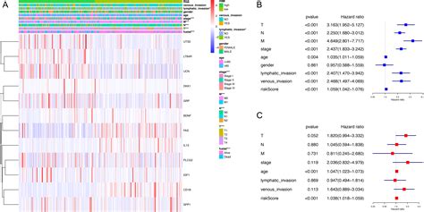 Construction Of An Immune Related Signature With Prognostic Value For Colon Cancer Peerj