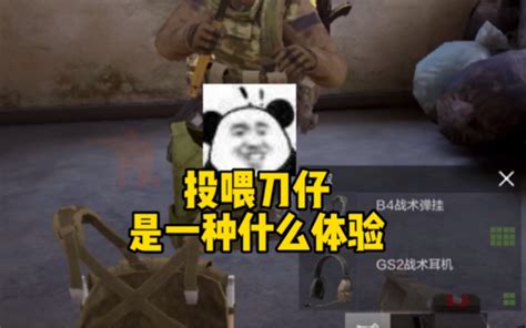 投喂刀仔 是一种什么样的体验 小鲨鱼 暗区突围 小鲨鱼 暗区突围 哔哩哔哩视频