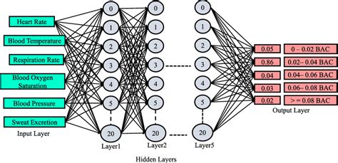 Tiny DNN For Physiological Data Modeling Download Scientific Diagram