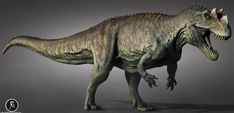 Ceratosaurus By Robertfabiani On Deviantart
