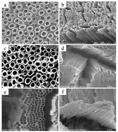 Titanium Dioxide Nanotubes Prepared By Pt Electrode A F In Download Scientific Diagram