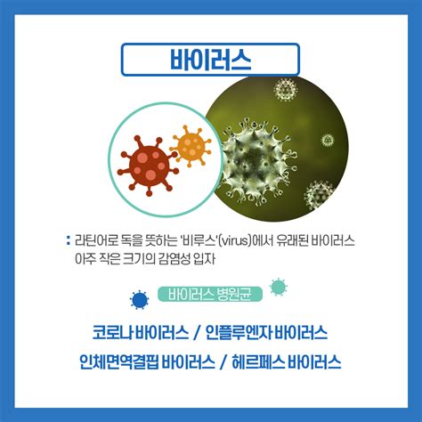 바이러스와 박테리아 같은 걸까요 네이버 포스트