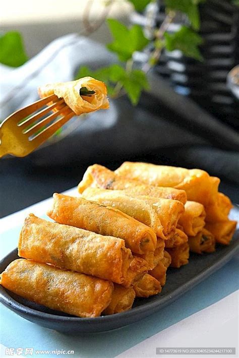 酥皮春卷摄影图 传统美食 餐饮美食 摄影图库 昵图网nipic