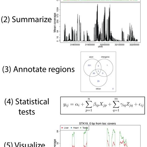 An Overview Of The Derfinder Suite The Derfinder Software Package
