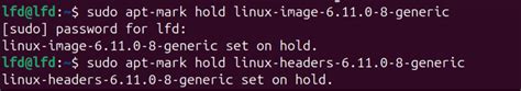 Prevent Linux Kernel Updates On Ubuntu With This Trick Linuxfordevices
