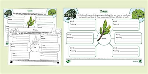 Trees Vocabulary Mind Map Professor Feito Twinkl