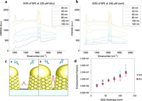 A Sers Measurement Of Flexbrite With Different Sio2 Thicknesses In
