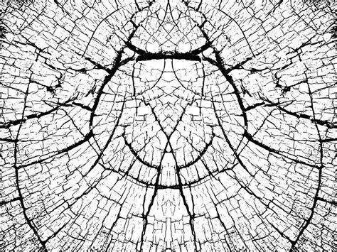 Old Tree Stump Texture Stock Vector Alexcosmos 140040794