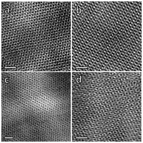 Double Gyroid Network Morphology In Tapered Diblock Copolymers Abstract Europe Pmc