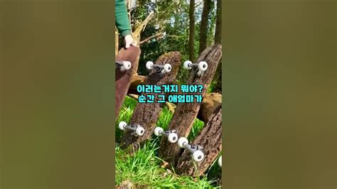 밥먹던 아줌마 손님이 쫓겨난 이유 Youtube