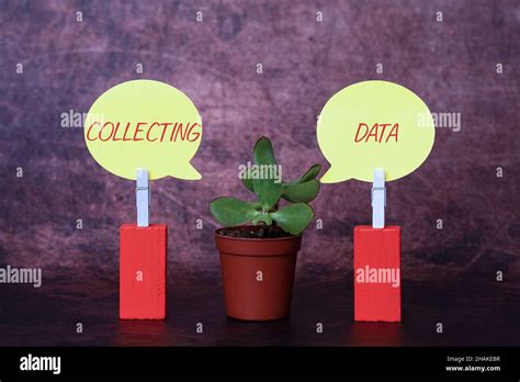 Text Sign Showing Collecting Data Business Approach Gathering And Measuring Information On