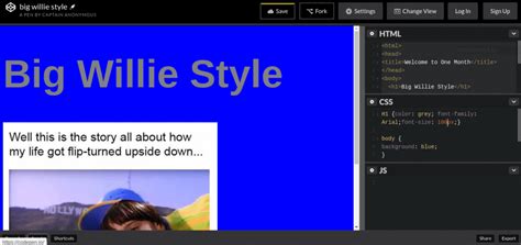 Html Vs Css One Month